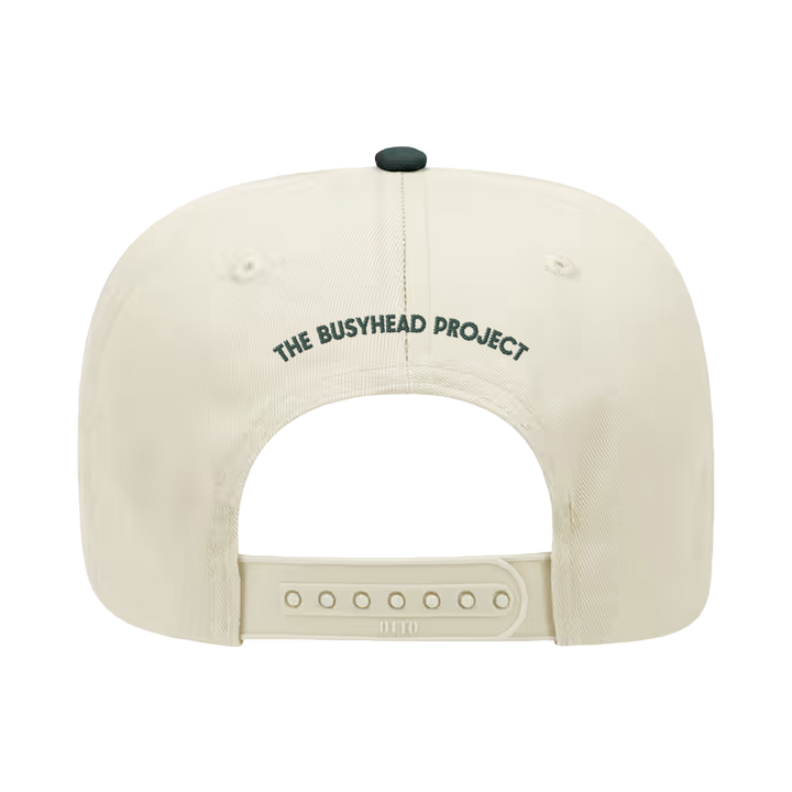 The Busyhead Project