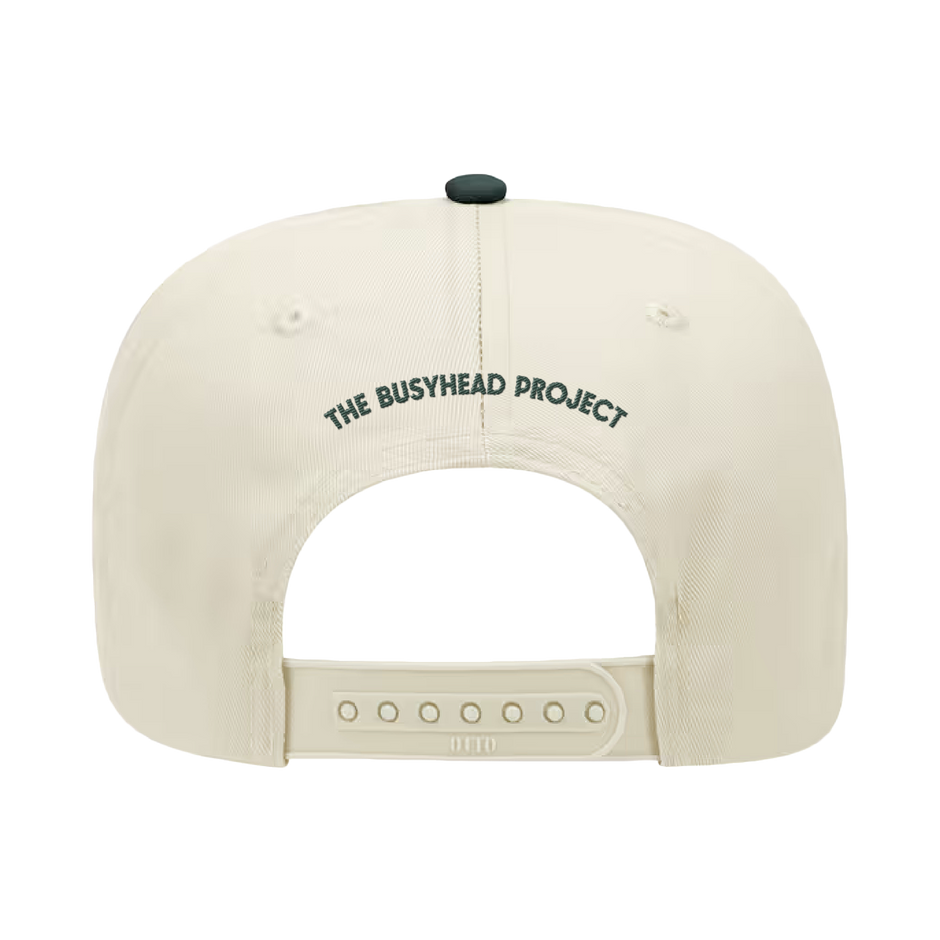 The Busyhead Project