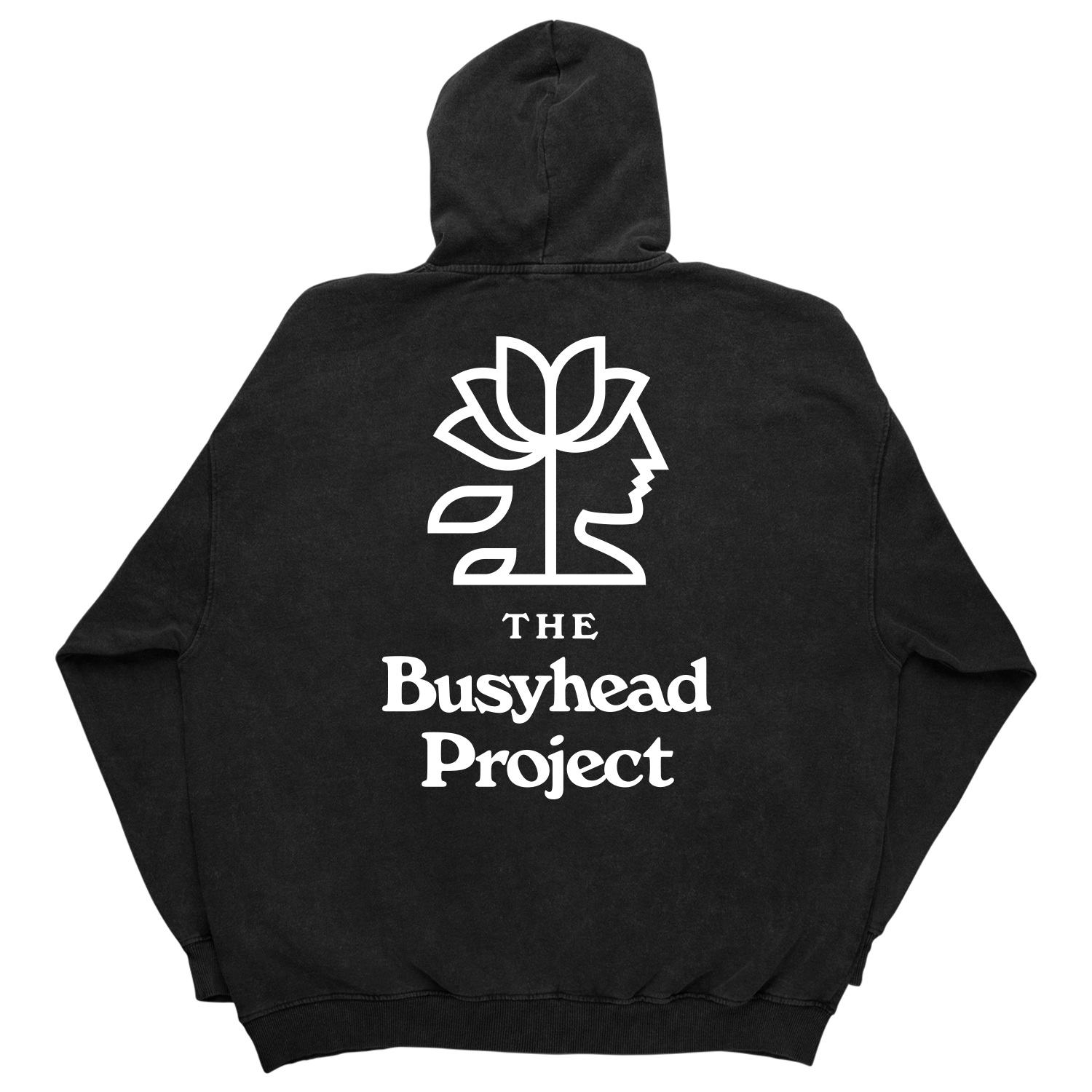 The Busyhead Project