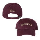 The Busyhead Project
