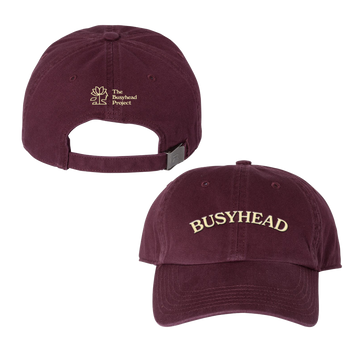 The Busyhead Project