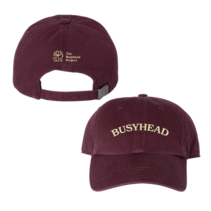 The Busyhead Project